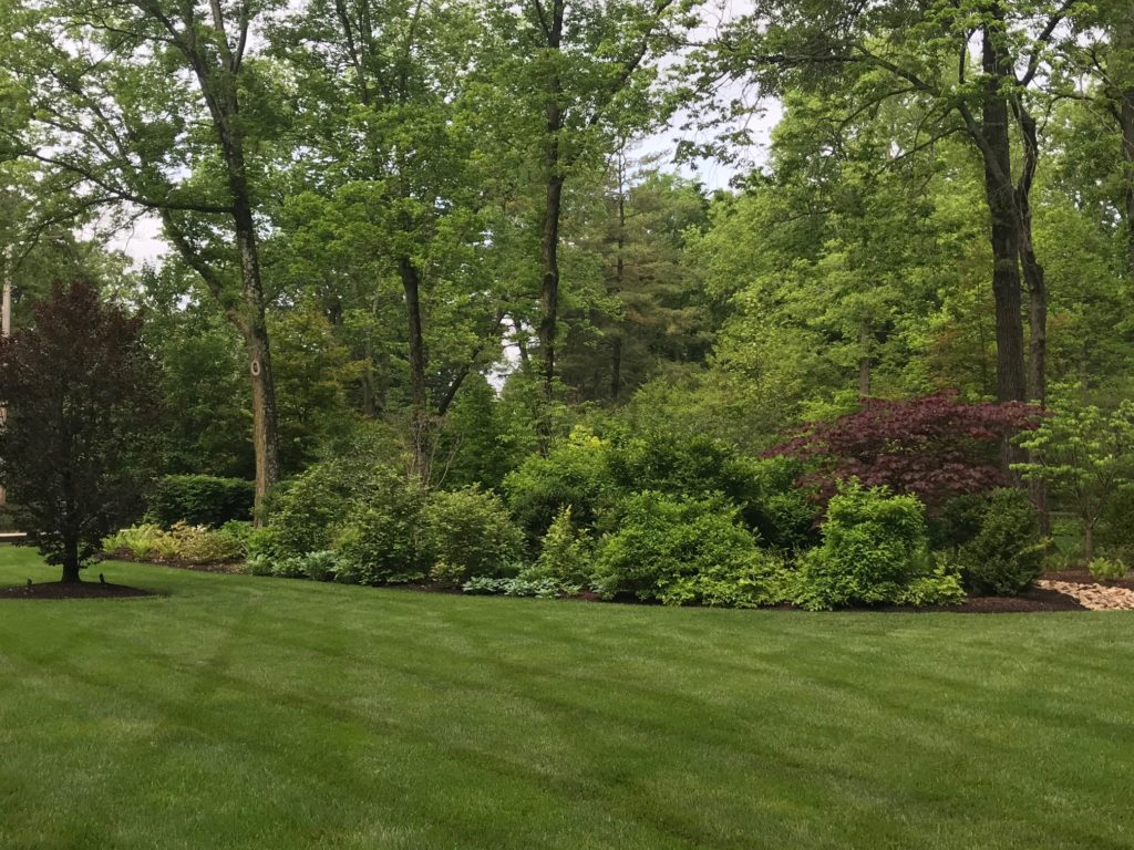 Gallery - M&P Landscaping