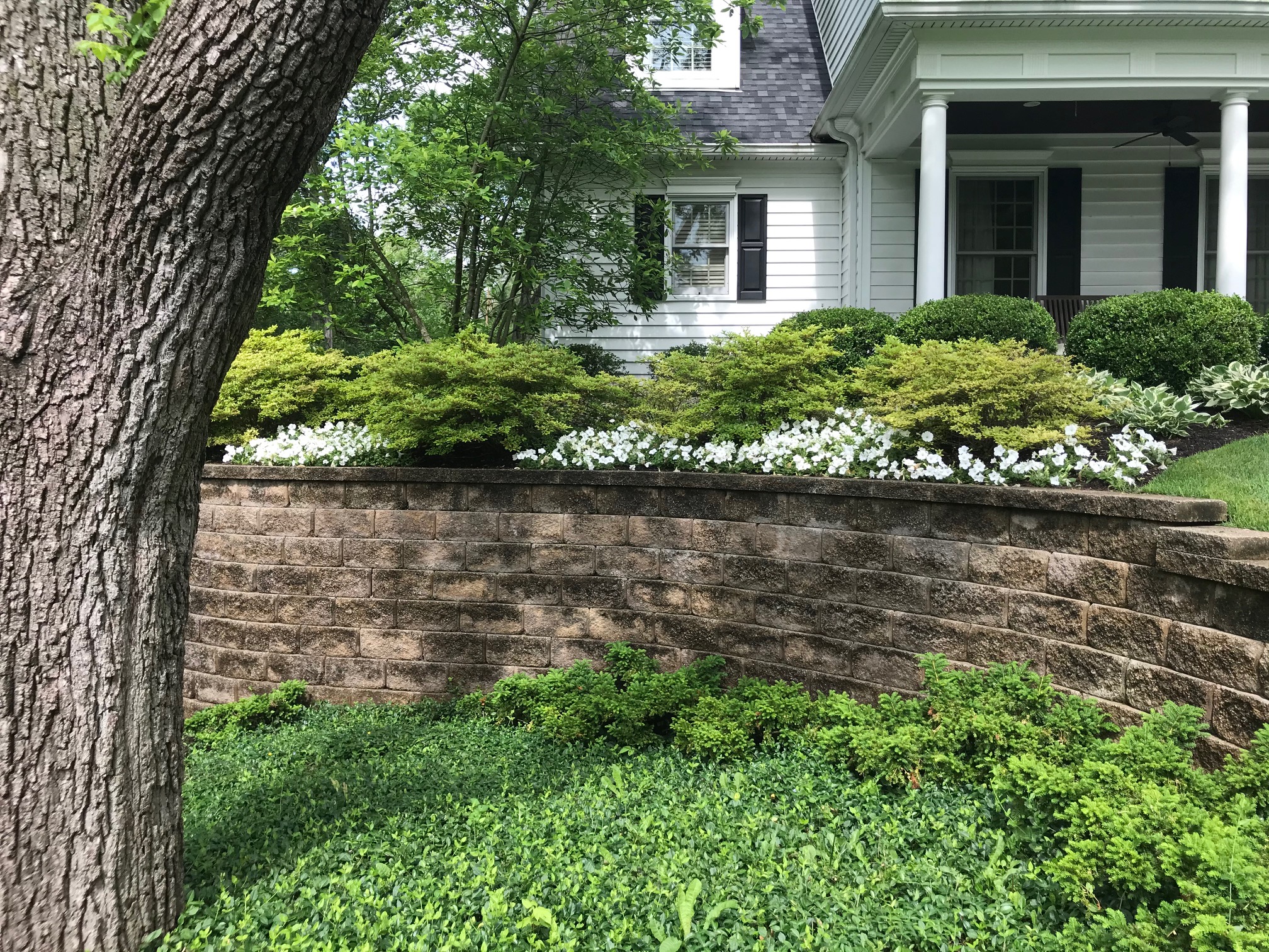 Gallery - M&P Landscaping
