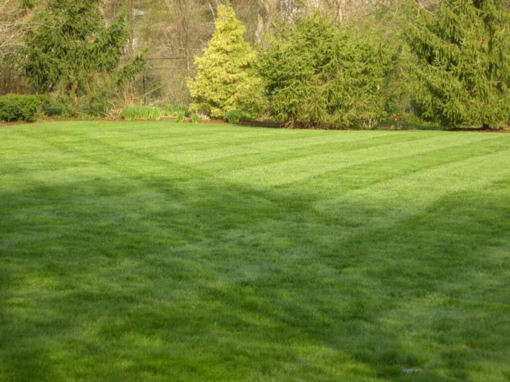 Gallery - M&P Landscaping