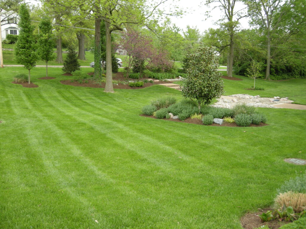 Gallery - M&P Landscaping